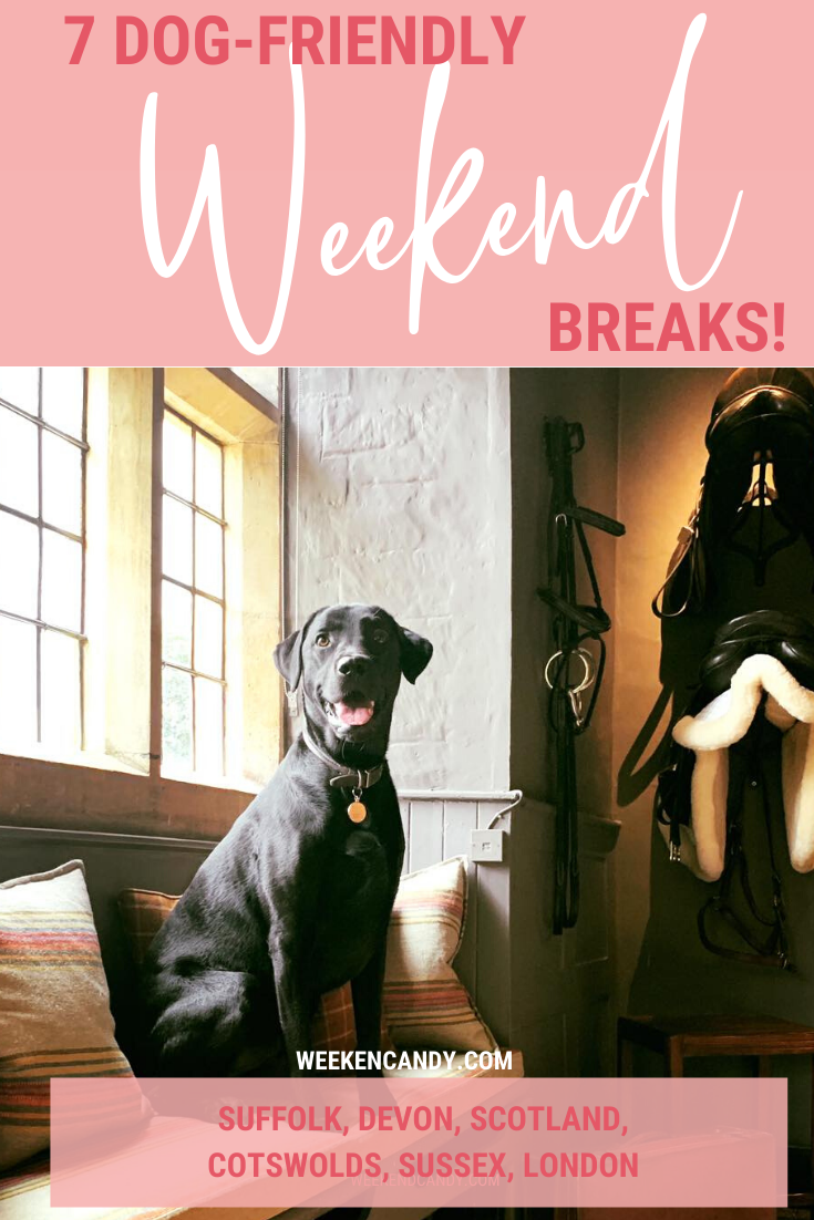 7 Dog-Friendly Weekend Breaks That Put The 'Wow' In Chihuahua ...