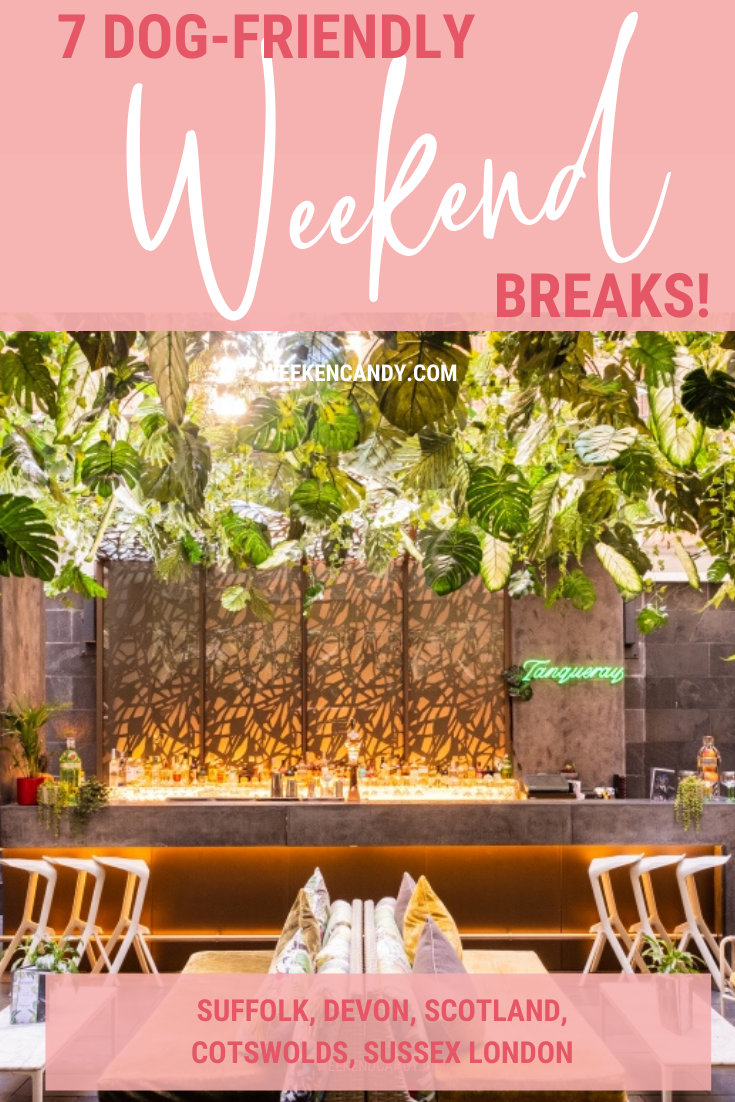 7 Dog-Friendly Weekend Breaks That Put The 'Wow' In Chihuahua ...