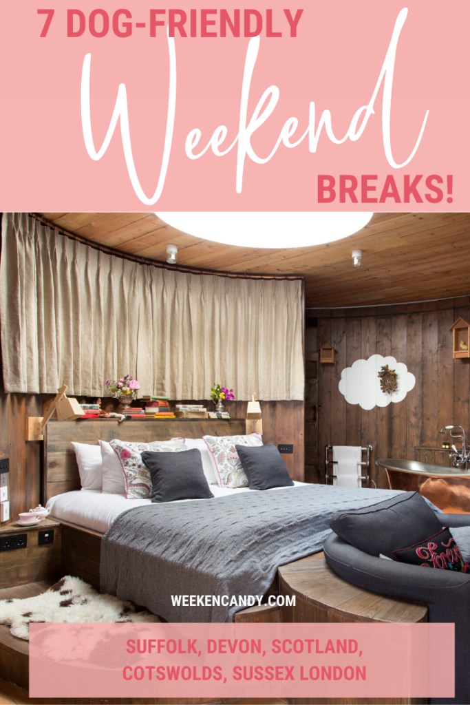 7 Dog-Friendly Weekend Breaks That Put The 'Wow' In Chihuahua ...