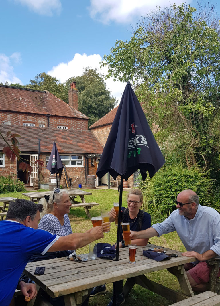 Easy Guided Walk Through the Beautiful Halnaker Tree Tunnel