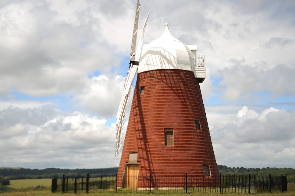 Easy Guided Walk Through the Beautiful Halnaker Tree Tunnel