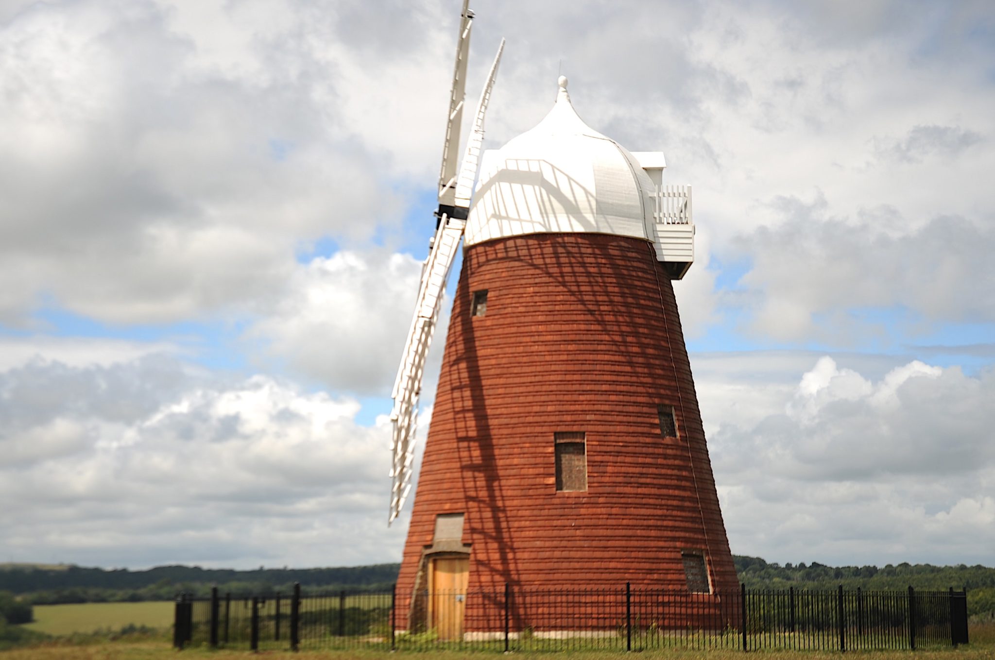 Easy Guided Walk Through the Beautiful Halnaker Tree Tunnel