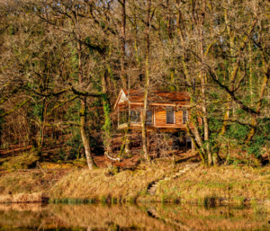 Gorgeous Yeworthy Treehouse | Devon | Incredible UK Weekends