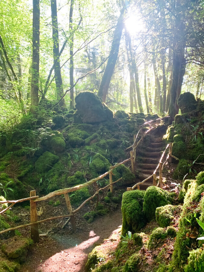 8 Very Best (Hidden) Things to Do in The Forest of Dean | Incredible ...
